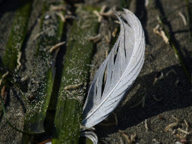 Twenty Four Zero Three - Penmen Review - Penmen Review